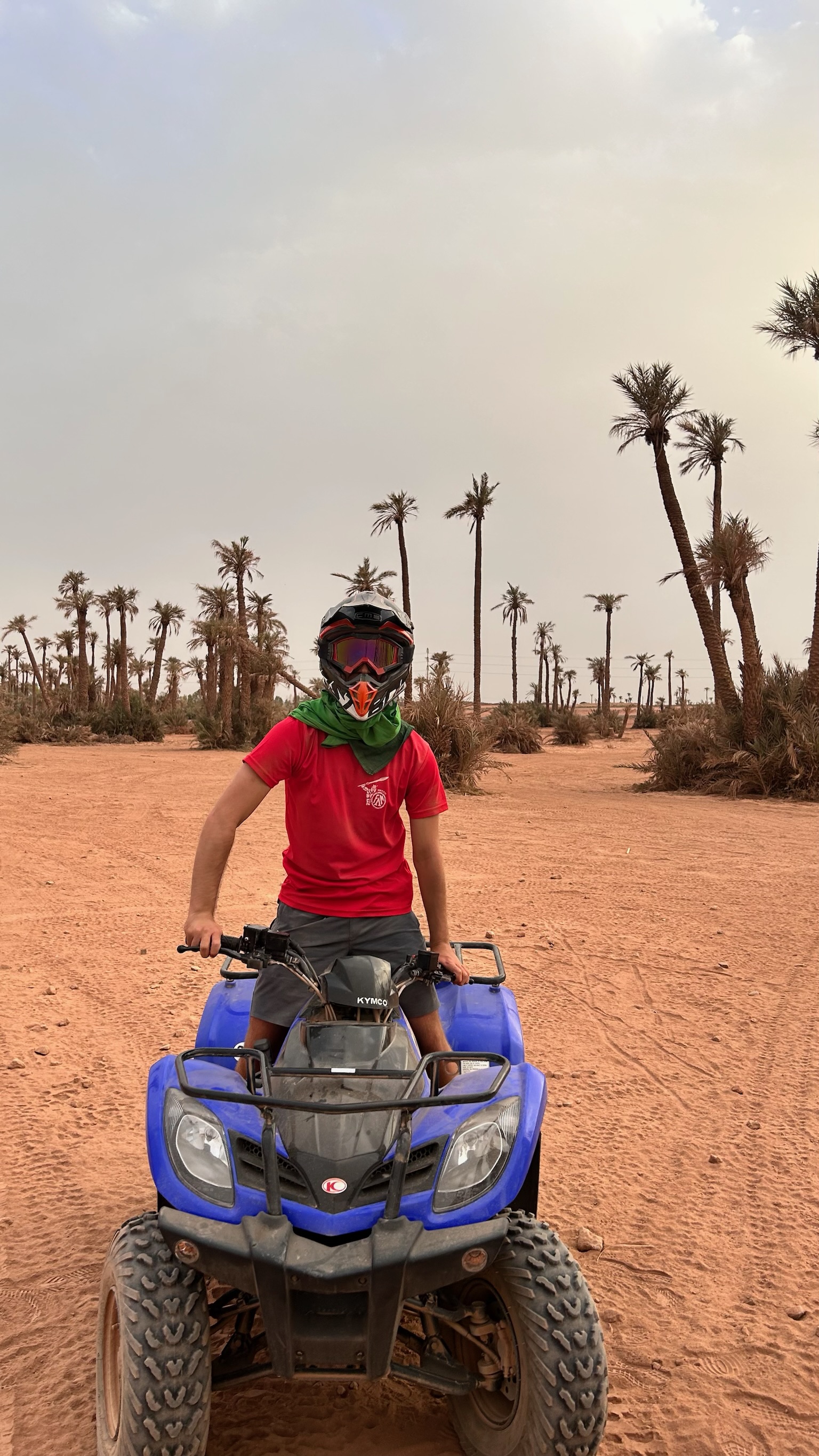 Francisco Landa's Portfolio